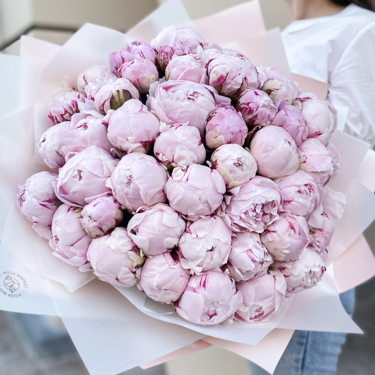 Букет из 51 пиона Сара Бернар в фирменной упаковке